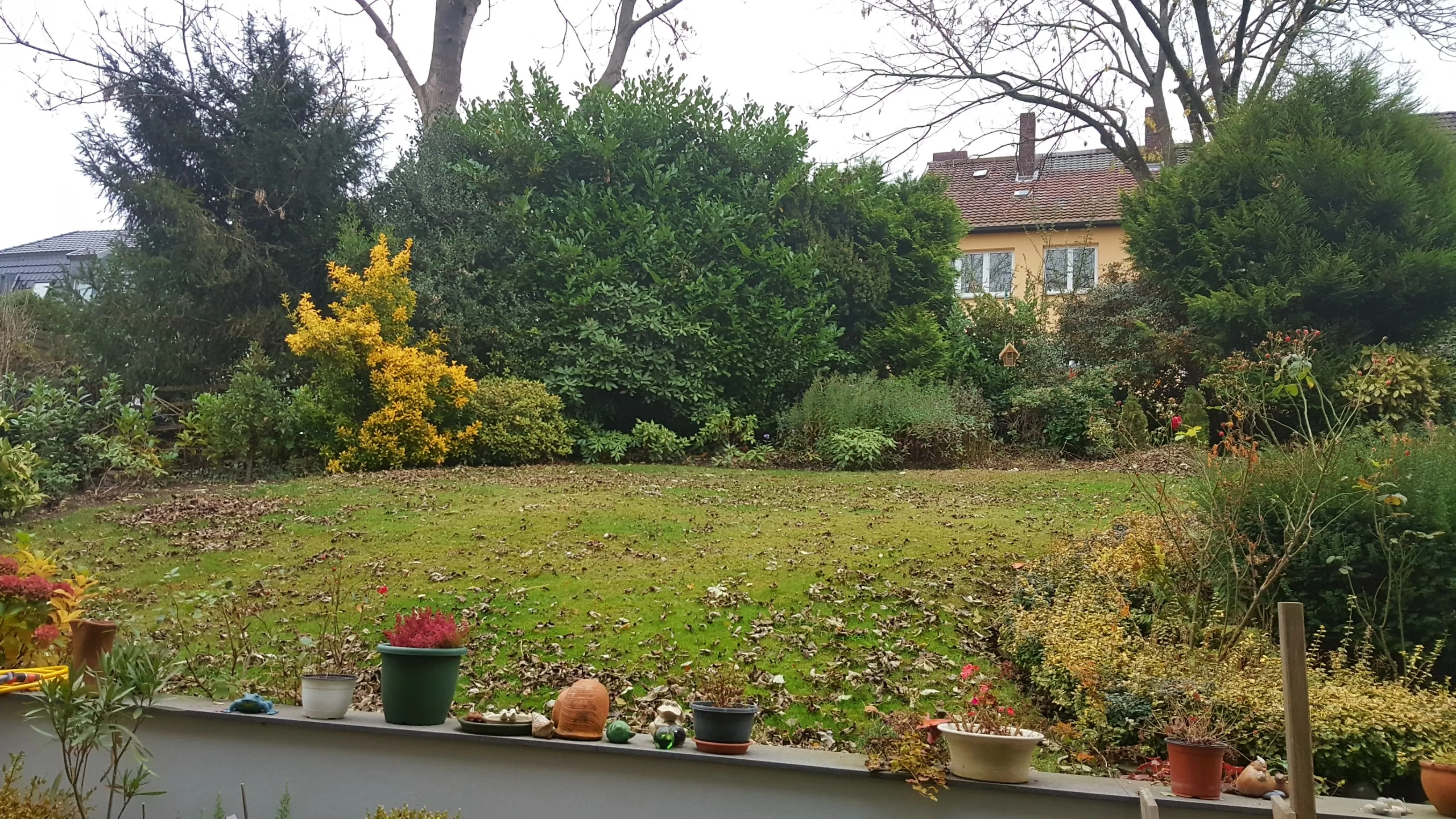 Kluse Park auf Singlepilot.com