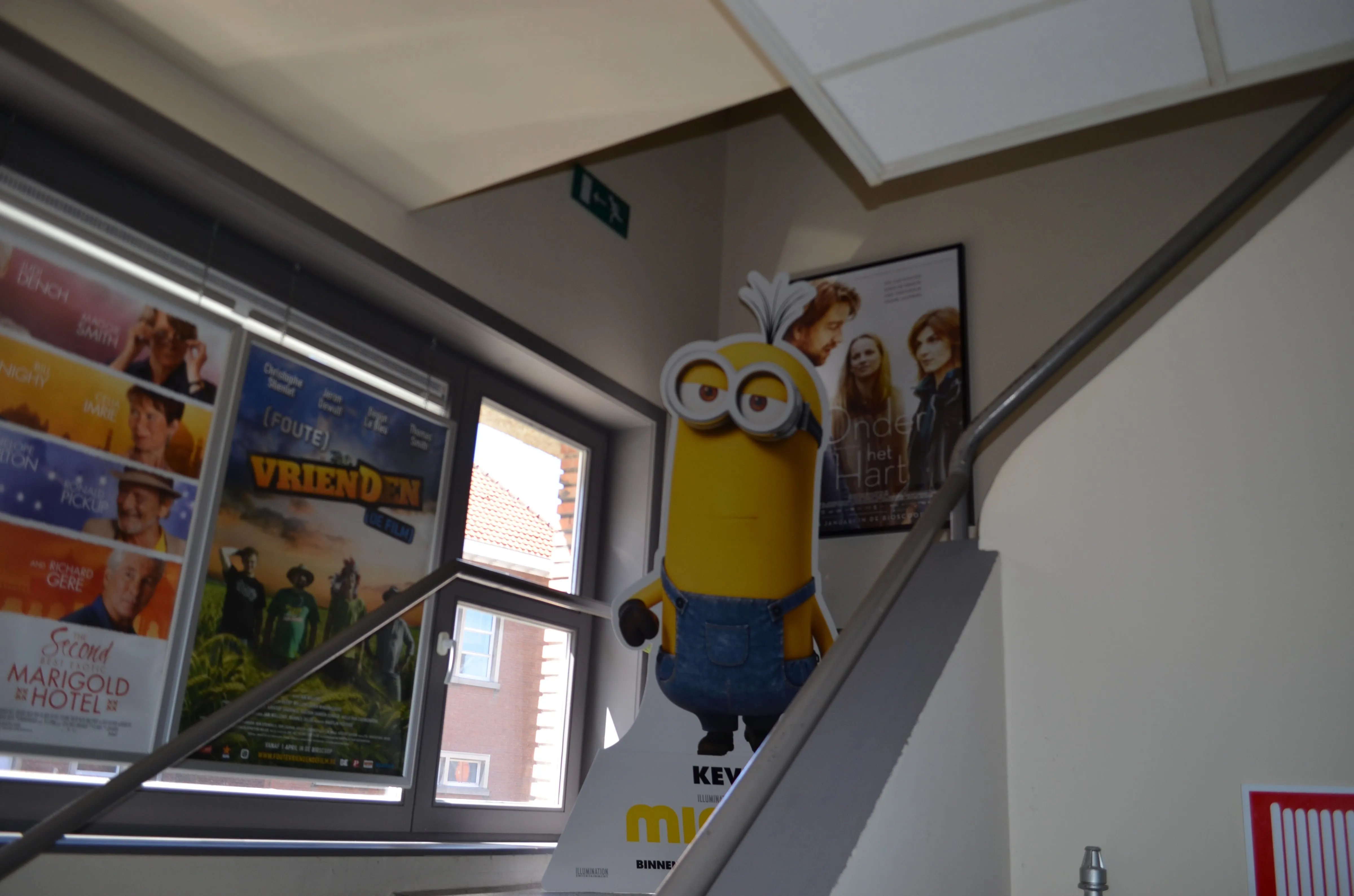 Cinema Rio auf Singlepilot.com