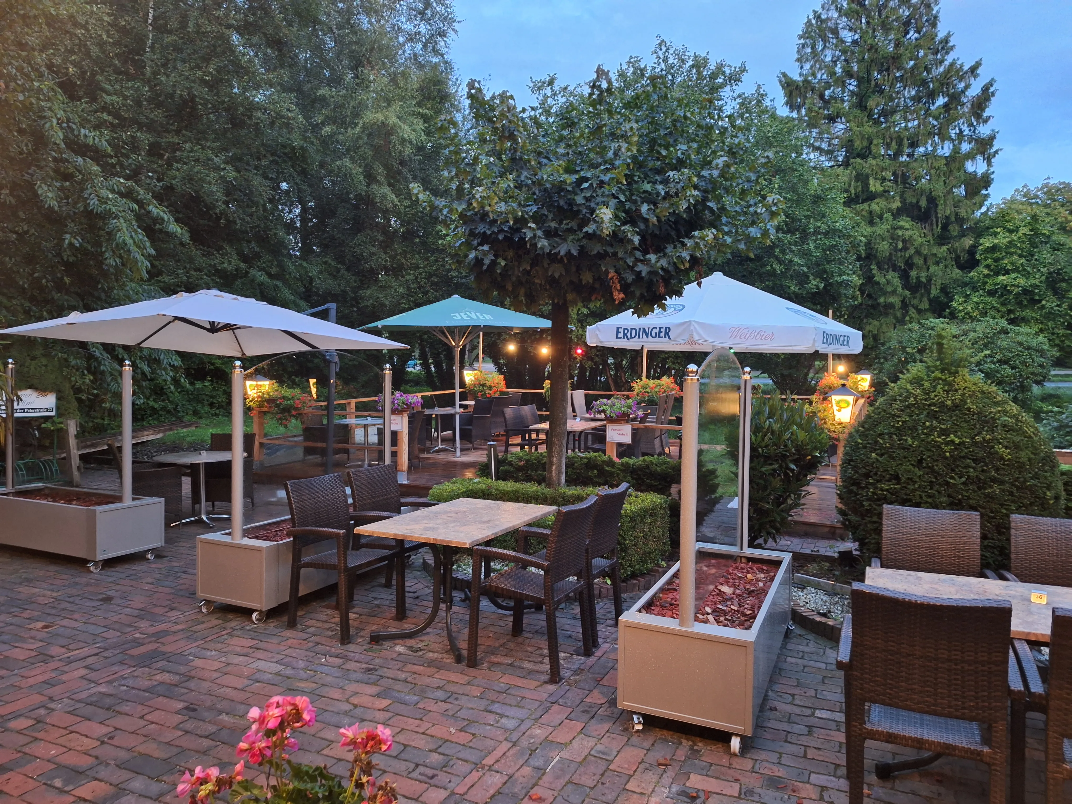 Restaurant Signal auf Singlepilot.com