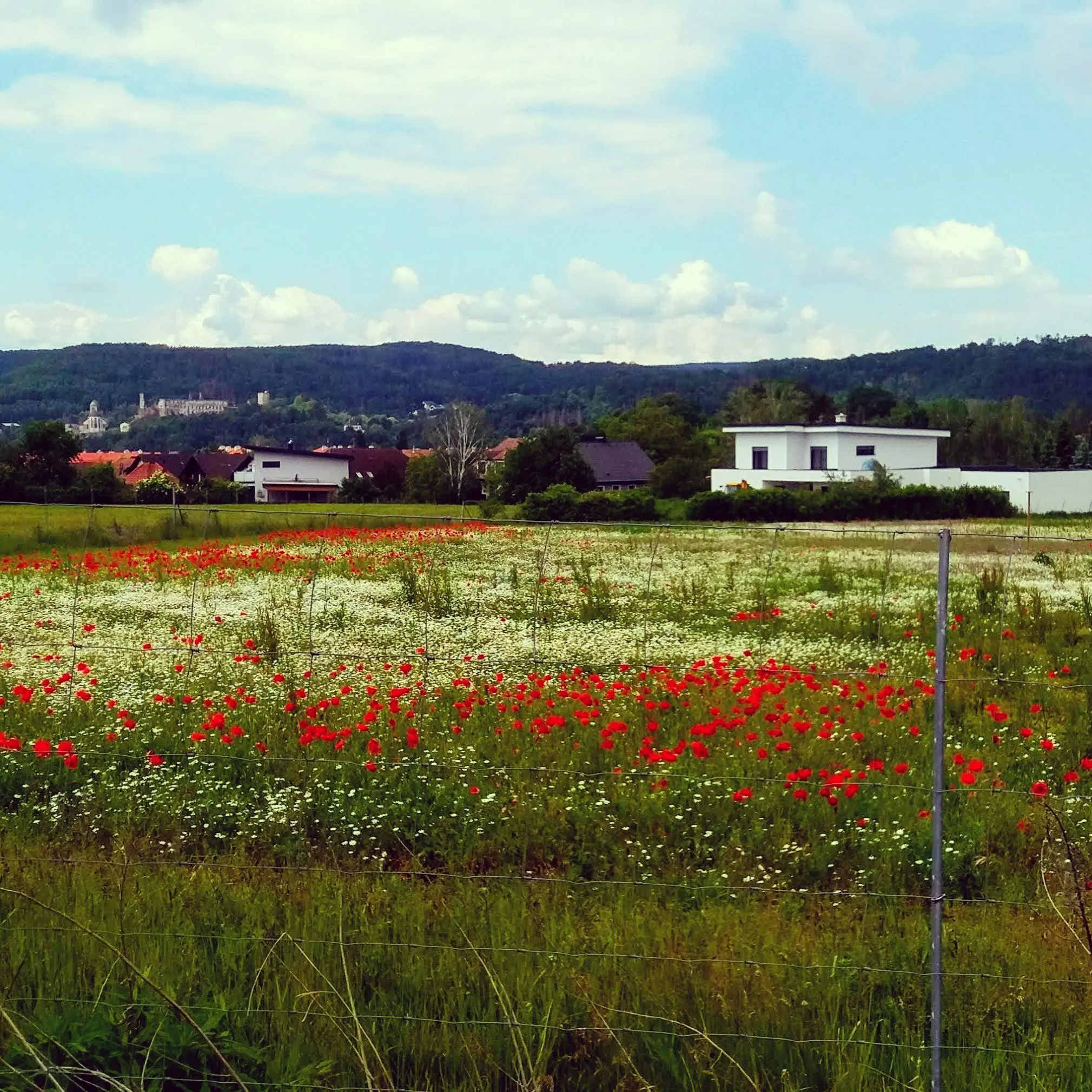Schubertpark auf Singlepilot.com