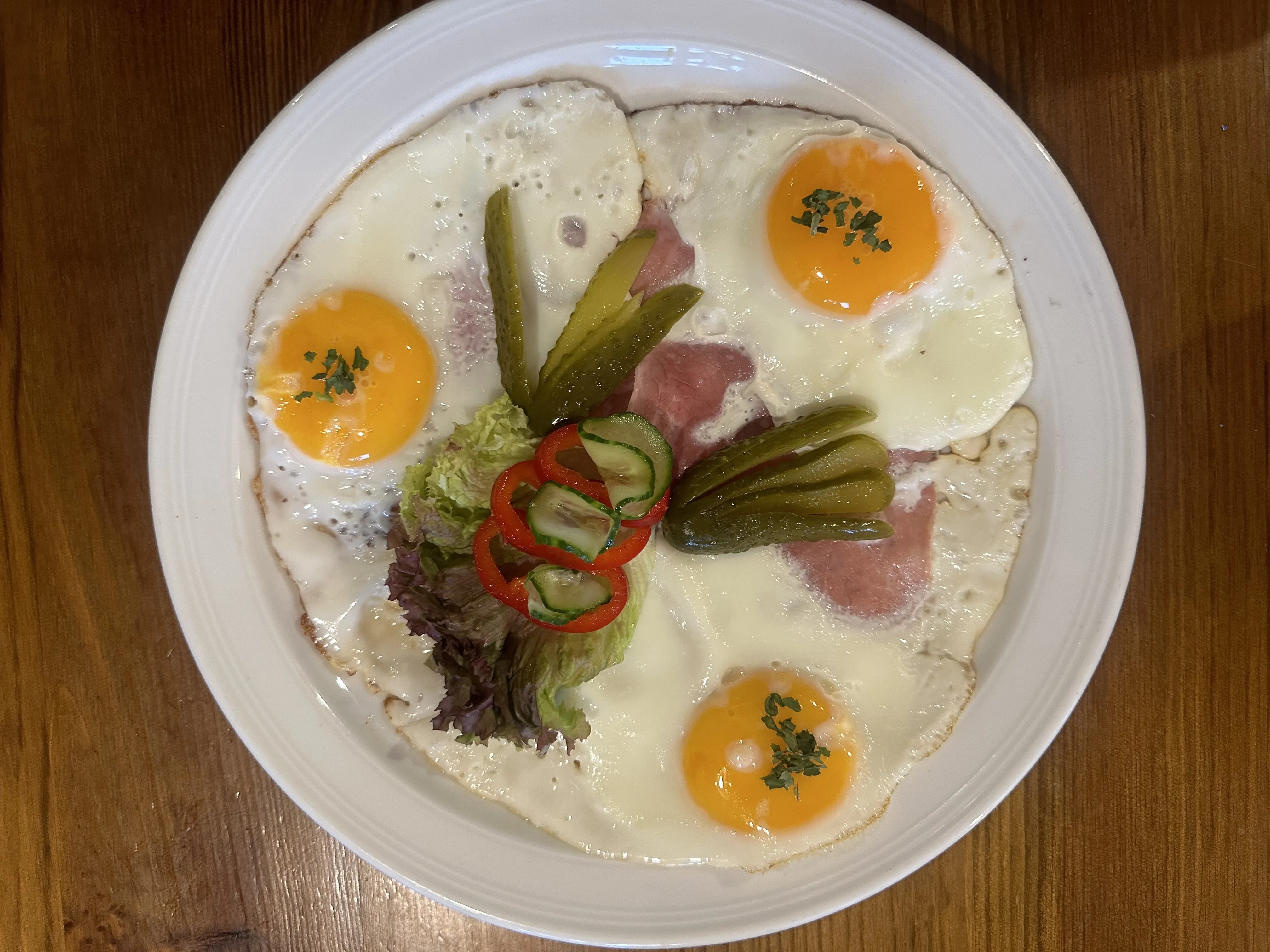 Harry‘s Imbiss Stube auf Singlepilot.com