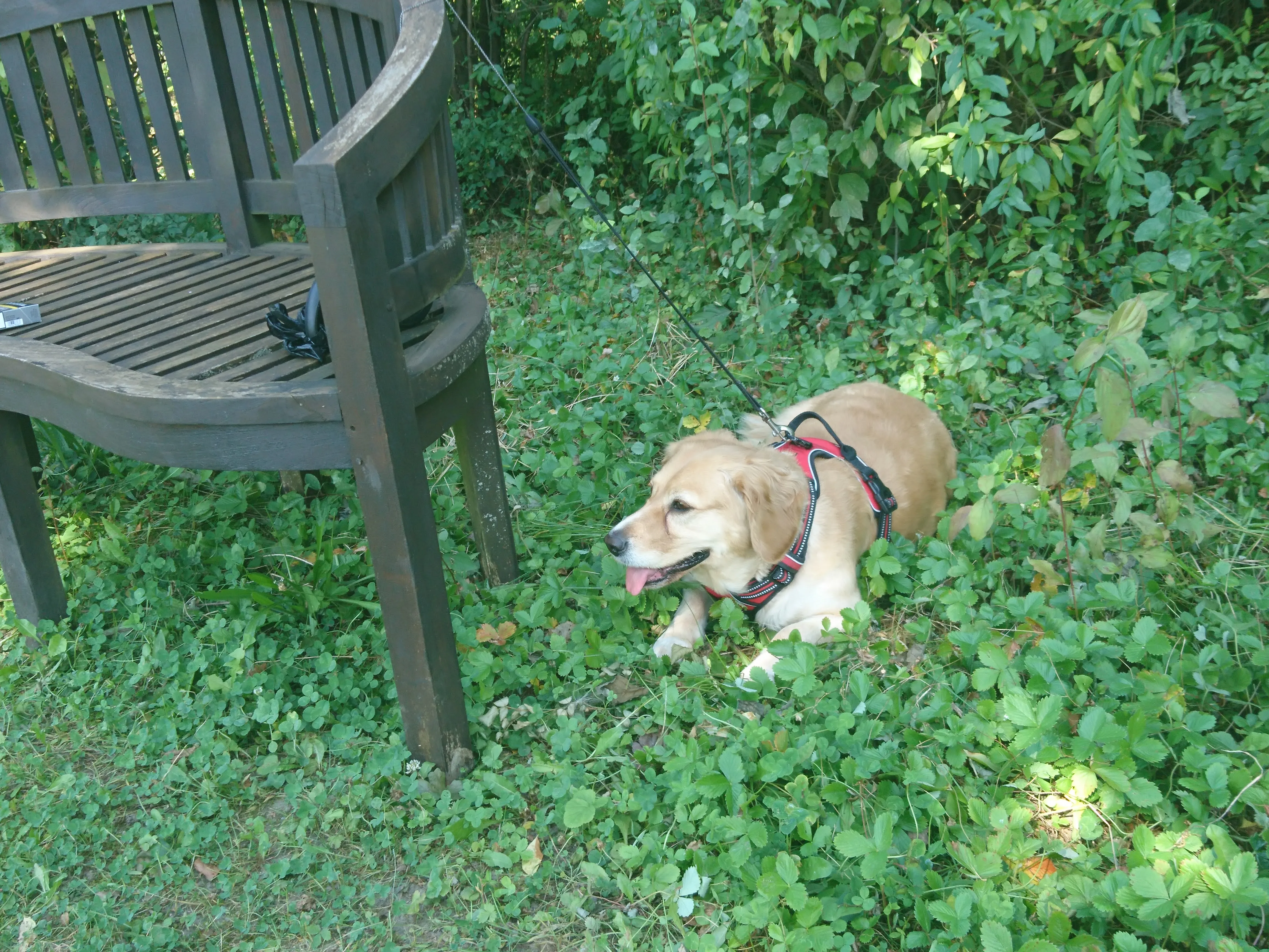 Schubertpark auf Singlepilot.com