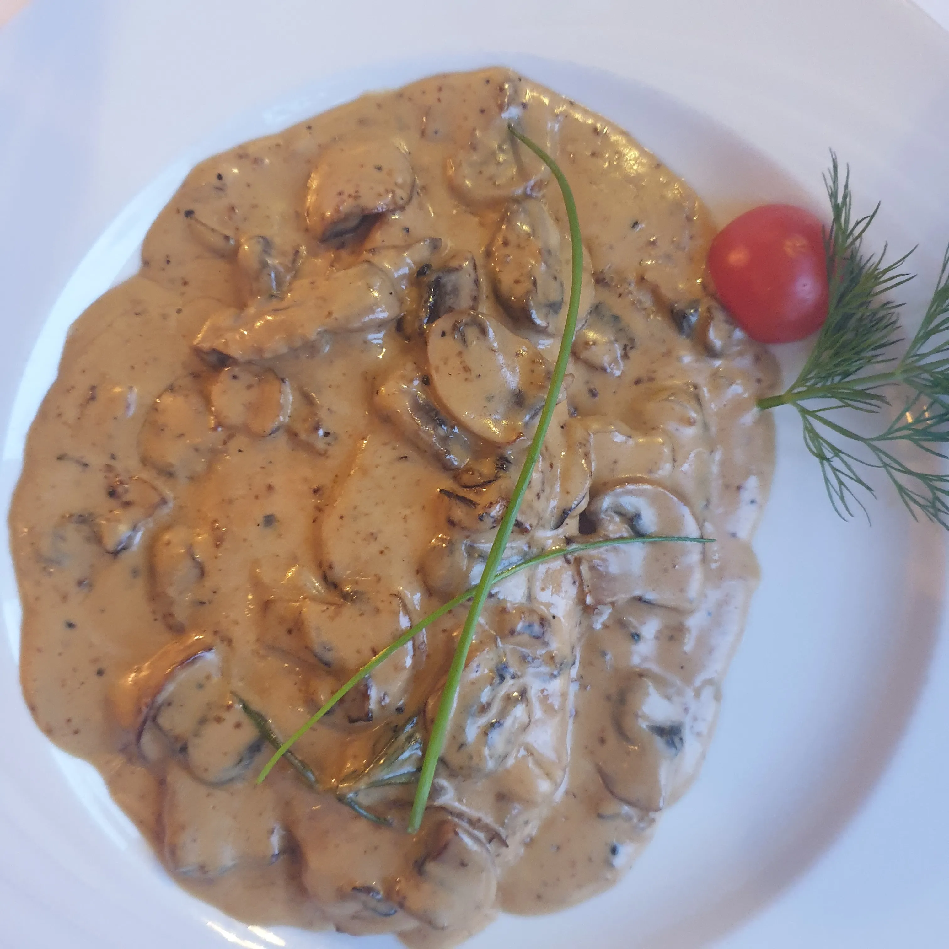 Opera Italiana auf Singlepilot.com